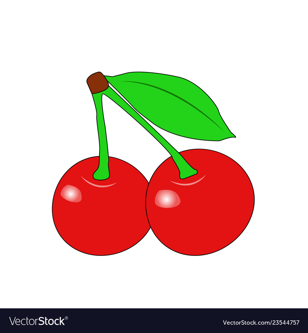 Cherry Royalty Free Vector Image - VectorStock