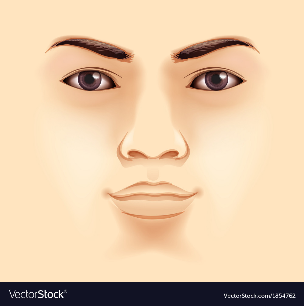 Human face Royalty Free Vector Image - VectorStock