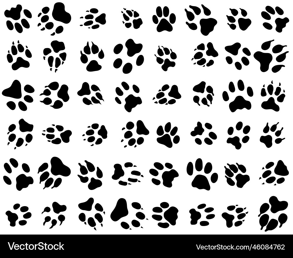 Pattern of print dogs paws Royalty Free Vector Image