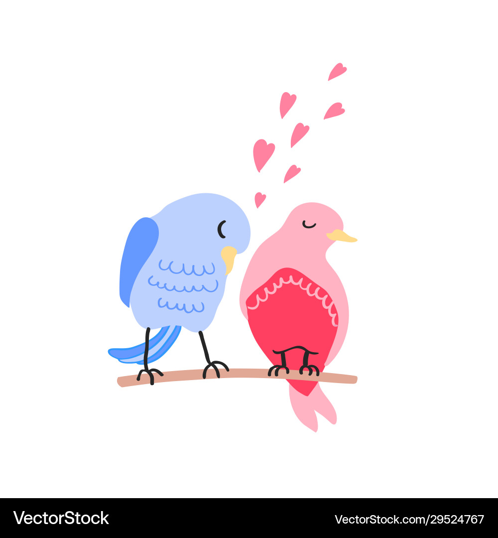 Colorful cute couple birds Royalty Free Vector Image