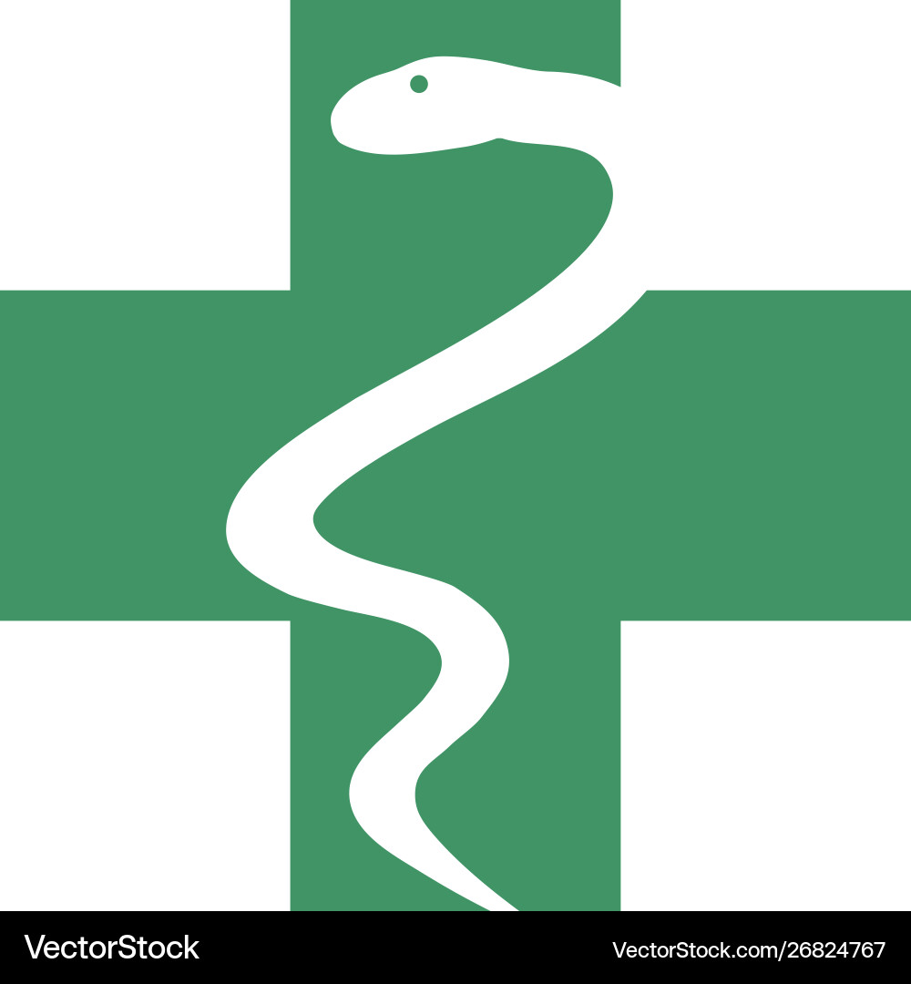 Medical snake graphic design template isolated Vector Image