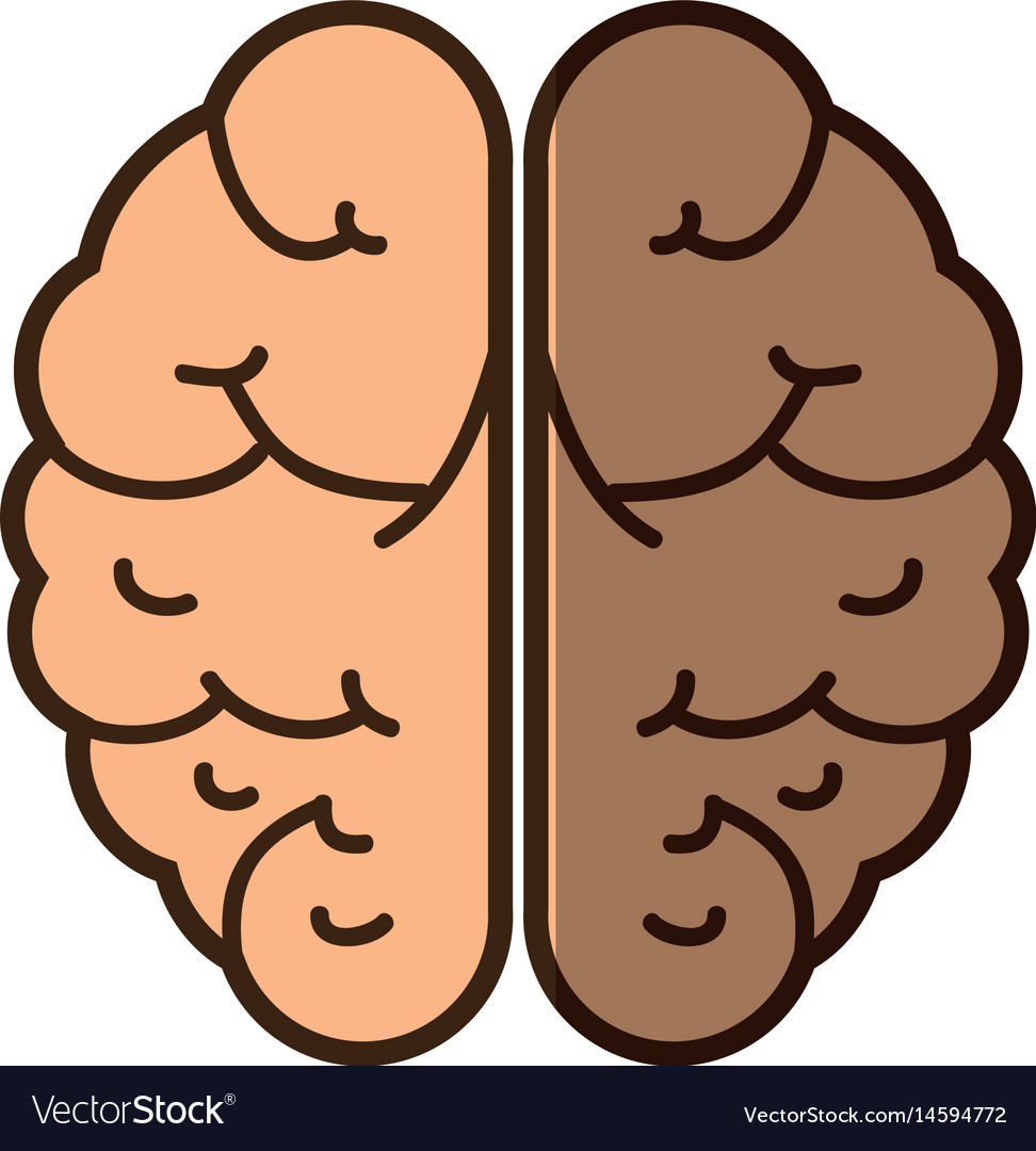 Human brain icon Royalty Free Vector Image - VectorStock