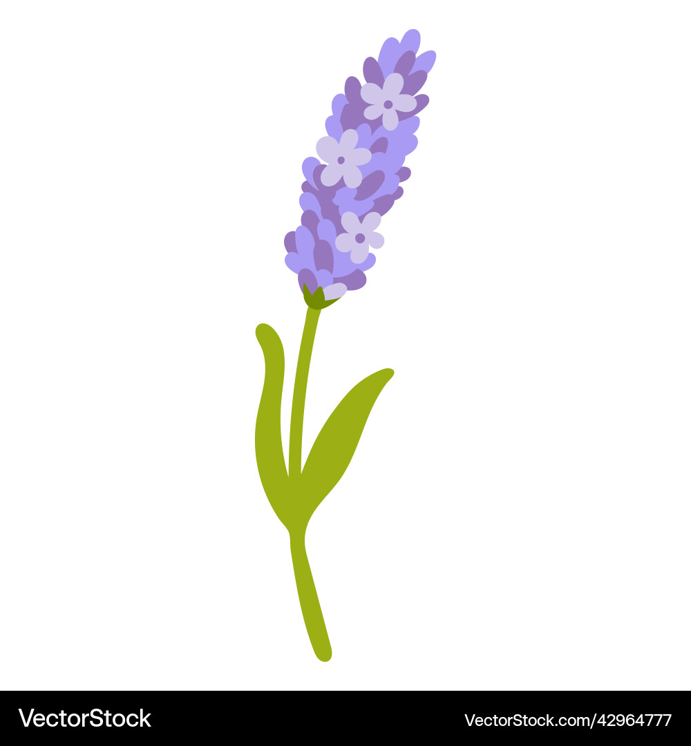 Cute lavender flower flat Royalty Free Vector Image