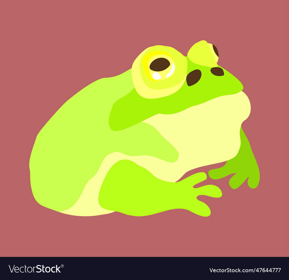 Toad Royalty Free Vector Image - VectorStock