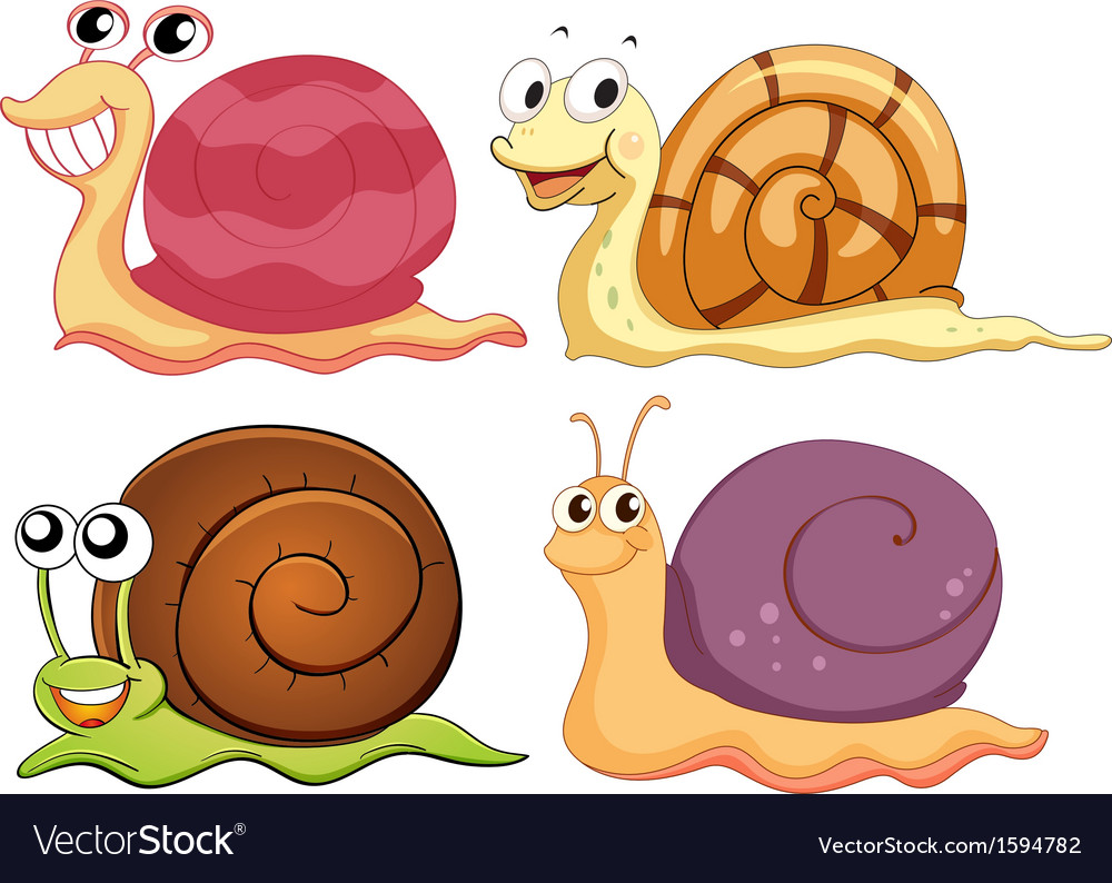 Four snails with different shells Royalty Free Vector Image