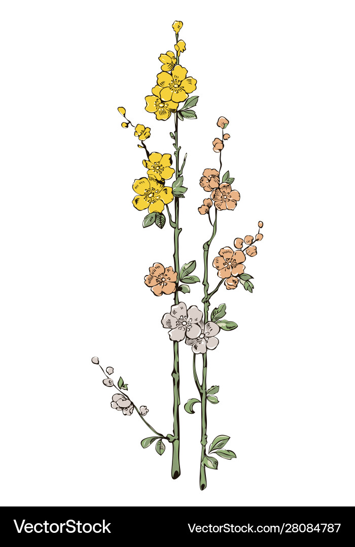 Decorative floral plant branches with flowers Vector Image