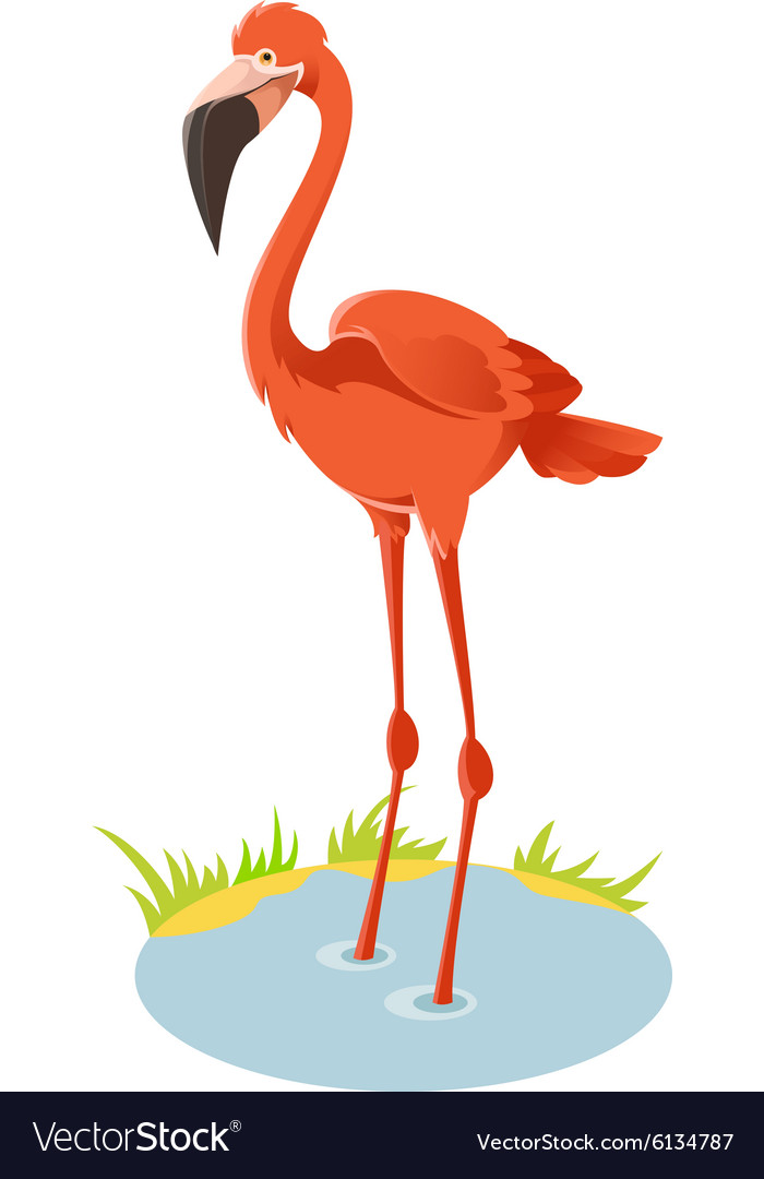 Flamingo Royalty Free Vector Image - VectorStock