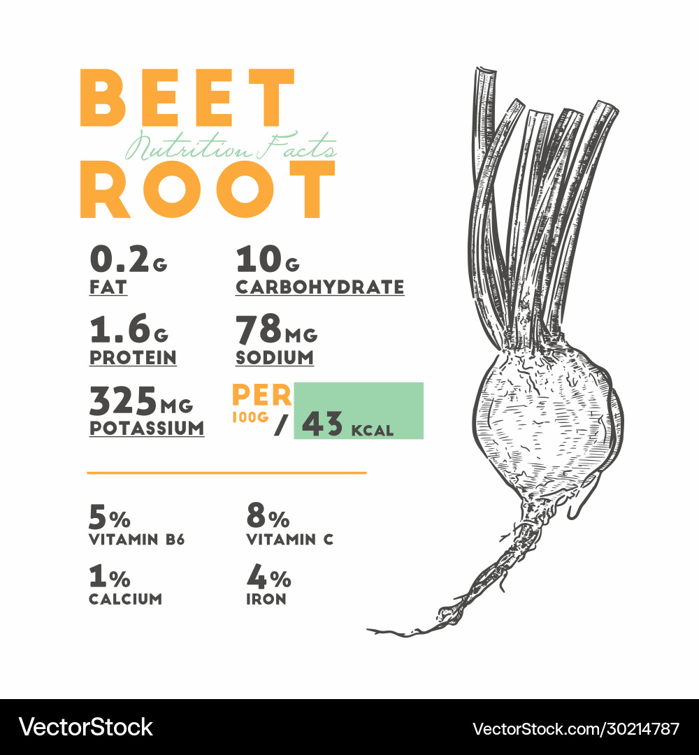 Nutrition facts beetroot hand draw sketch Vector Image