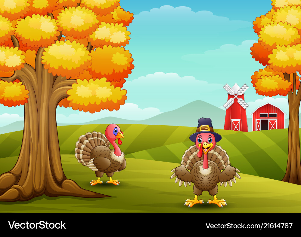 Two funny turkeys in farm background Royalty Free Vector