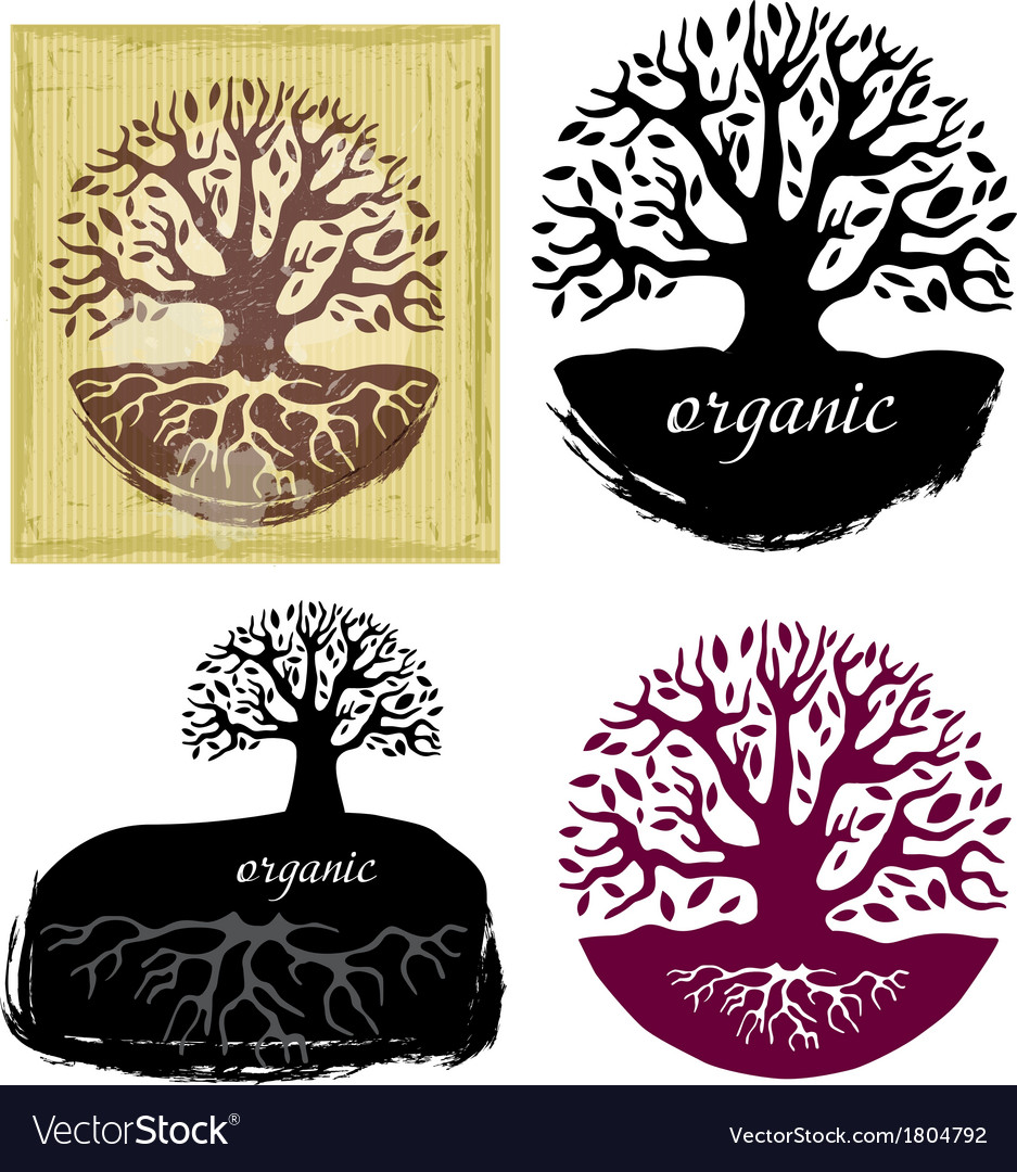 Set of tree symbols Royalty Free Vector Image - VectorStock