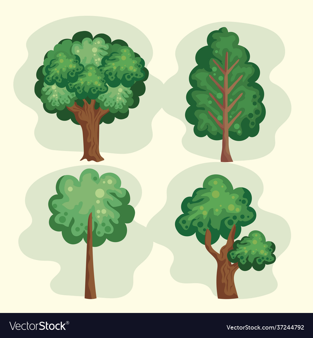 Spring season trees Royalty Free Vector Image - VectorStock