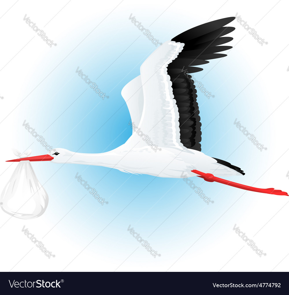 Stork flying with bundle Royalty Free Vector Image