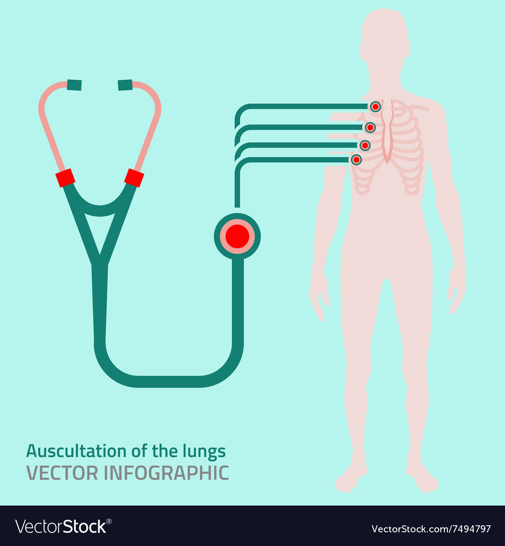 Stethoscope image Royalty Free Vector Image - VectorStock