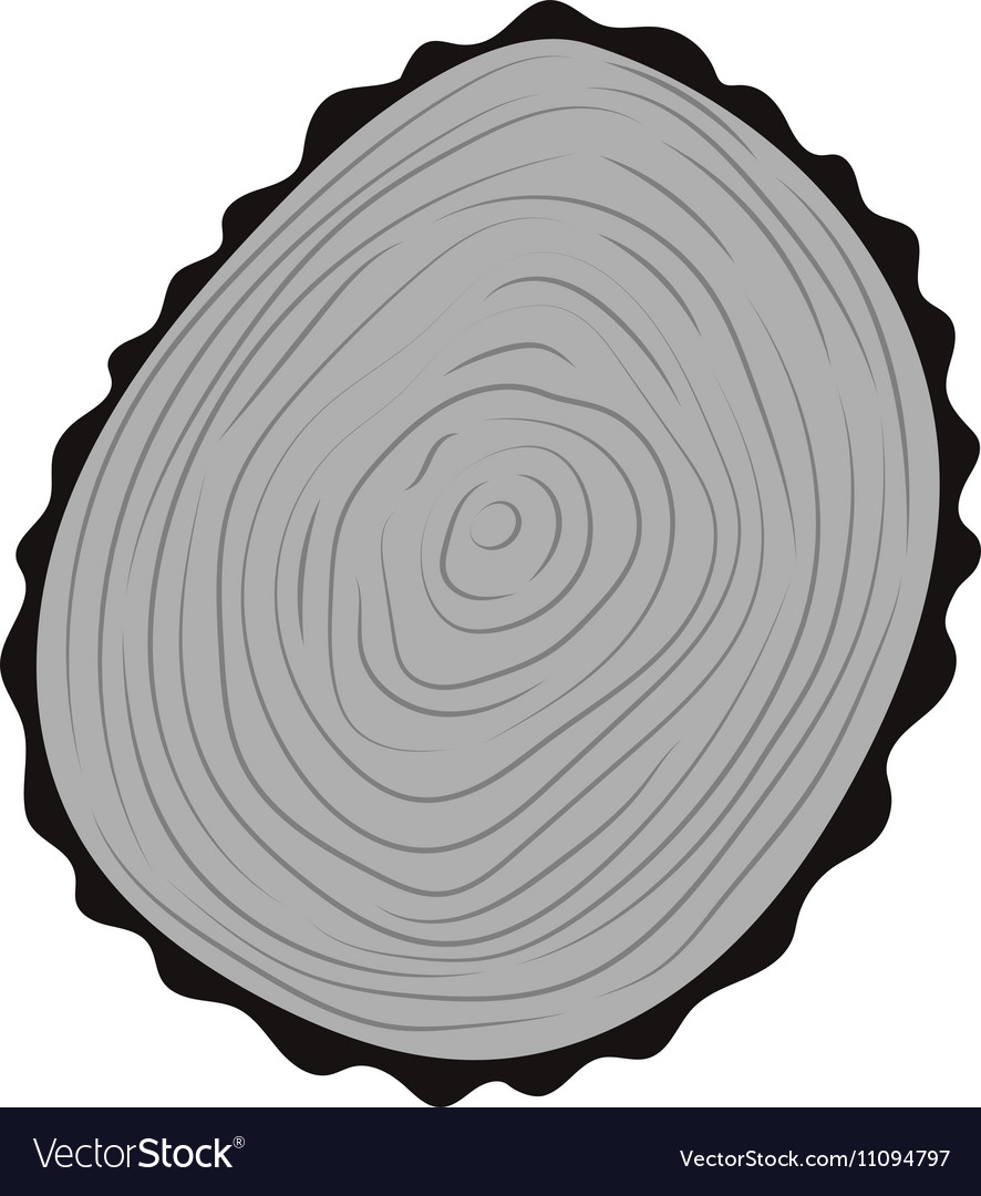Tree slice isolated Royalty Free Vector Image - VectorStock