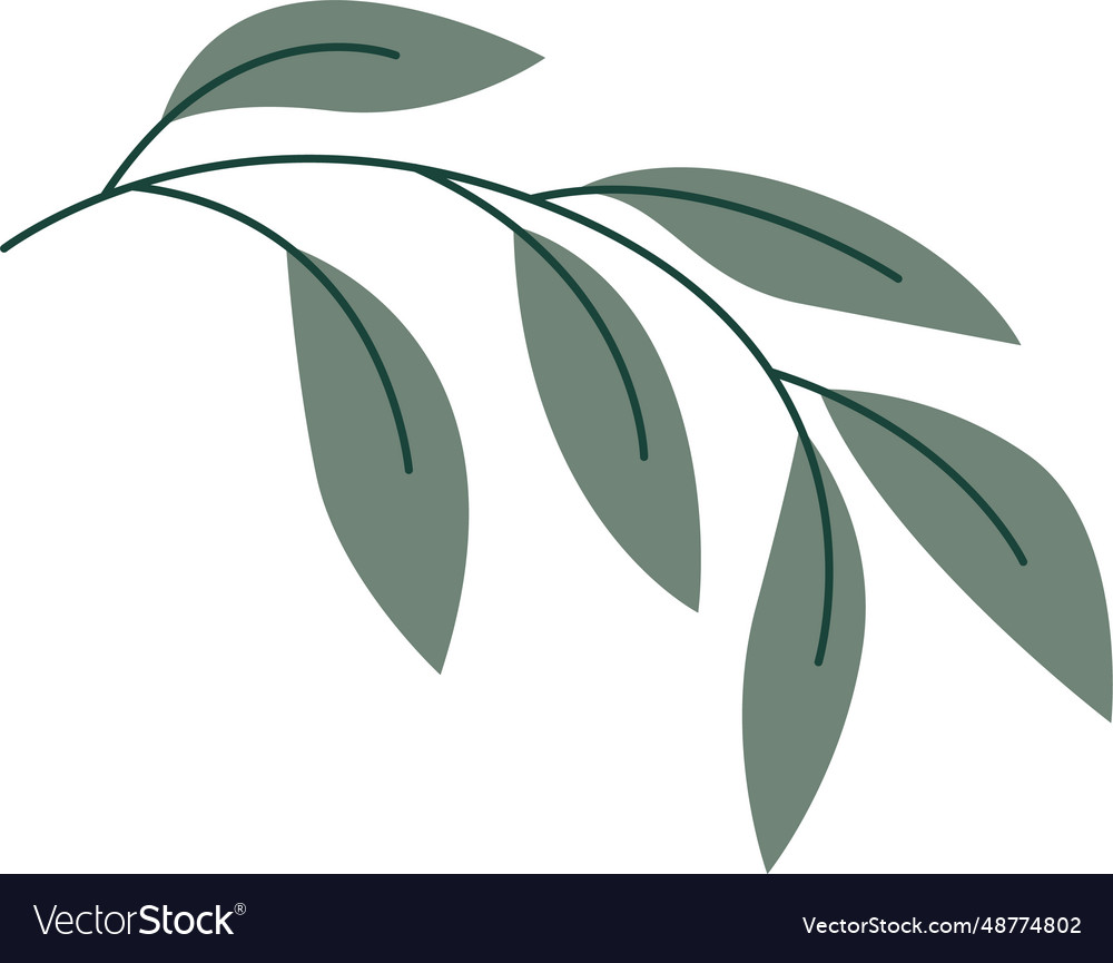 Branch with leaves Royalty Free Vector Image - VectorStock