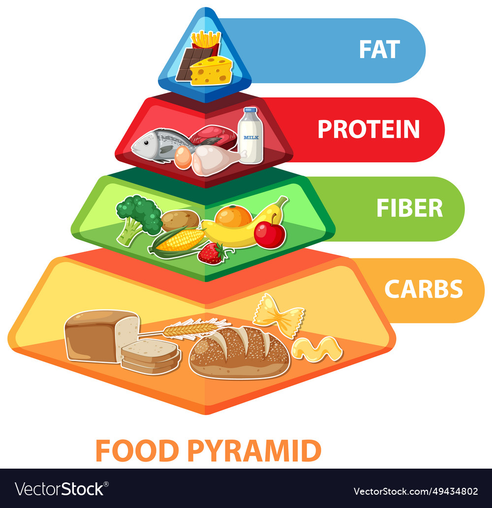 Cartoon food pyramid infographic a nutritional Vector Image