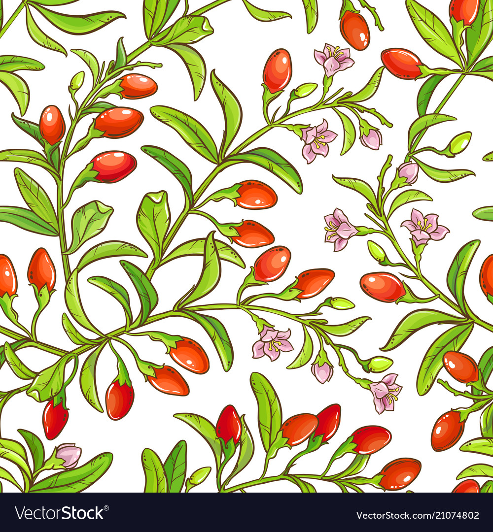Goji branch pattern Royalty Free Vector Image - VectorStock