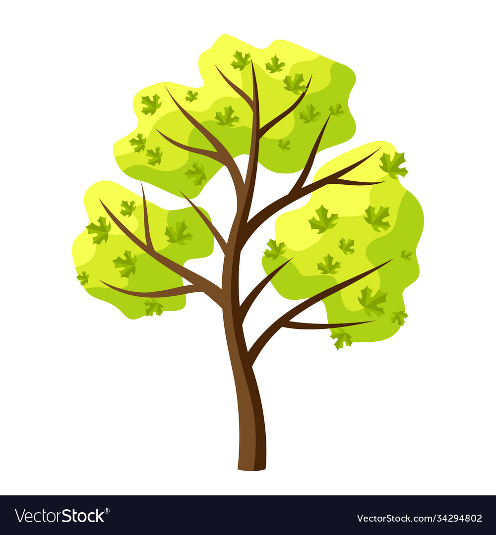 Spring tree with green leaves Royalty Free Vector Image