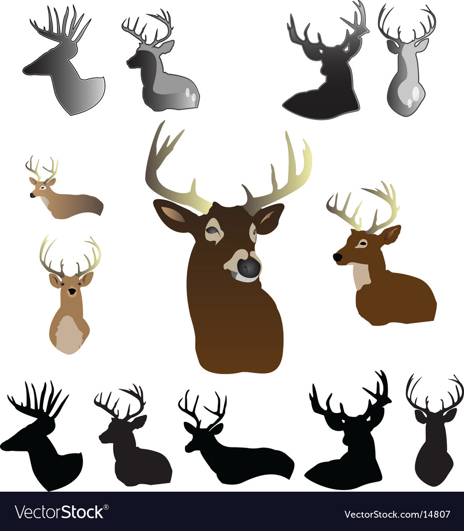 Deer Royalty Free Vector Image - VectorStock