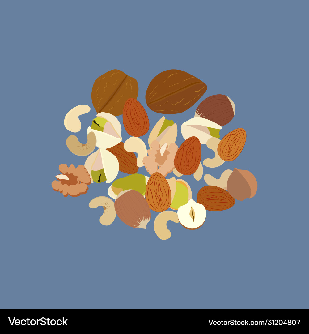 Nuts healthy vegan diet snack Royalty Free Vector Image