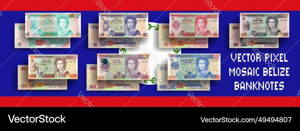 Set of pixel mosaic banknotes belize Royalty Free Vector