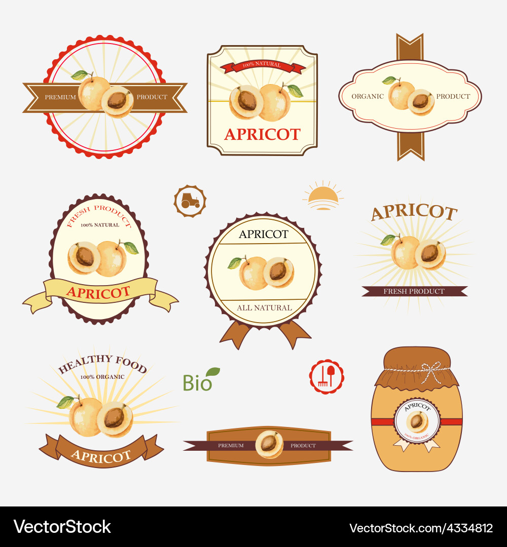 Apricot set of label design Royalty Free Vector Image