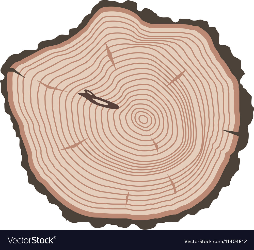 Tree slices isolated Royalty Free Vector Image
