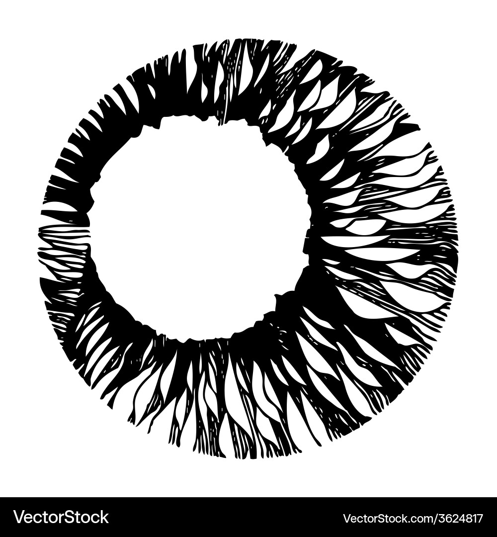 Circle4 Royalty Free Vector Image - VectorStock