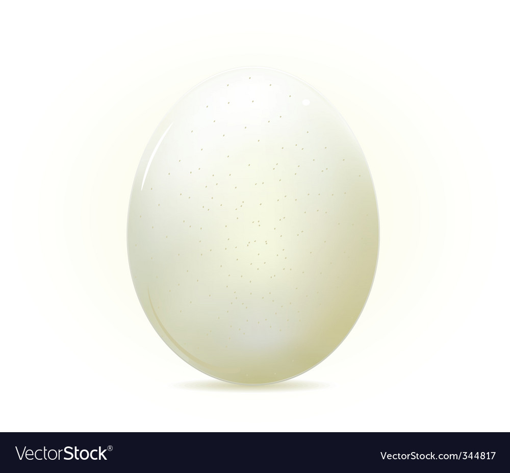 Egg icon Royalty Free Vector Image - VectorStock