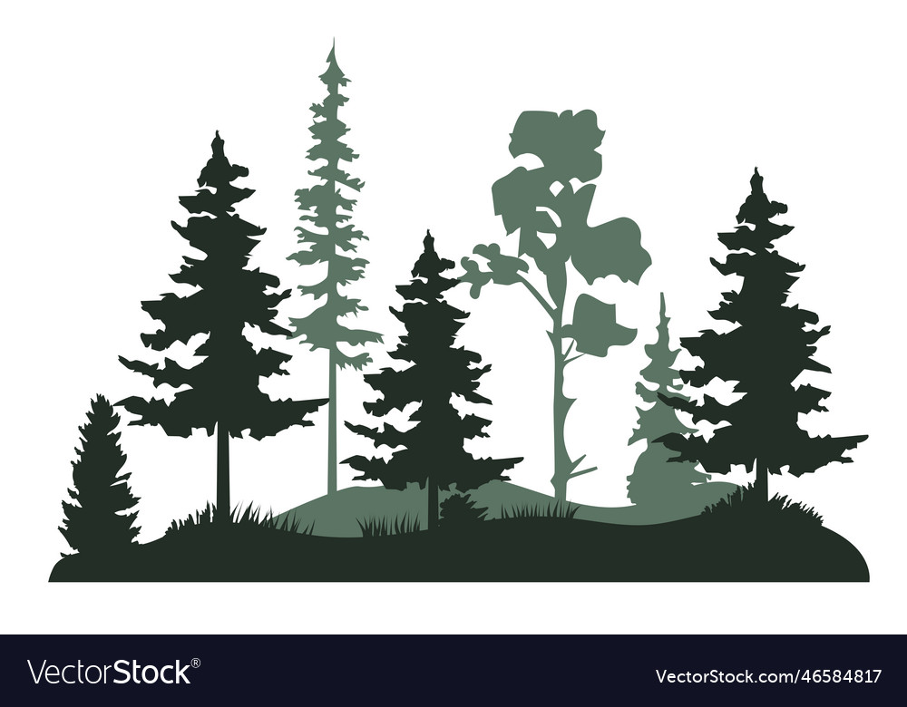 Forest pine Royalty Free Vector Image - VectorStock