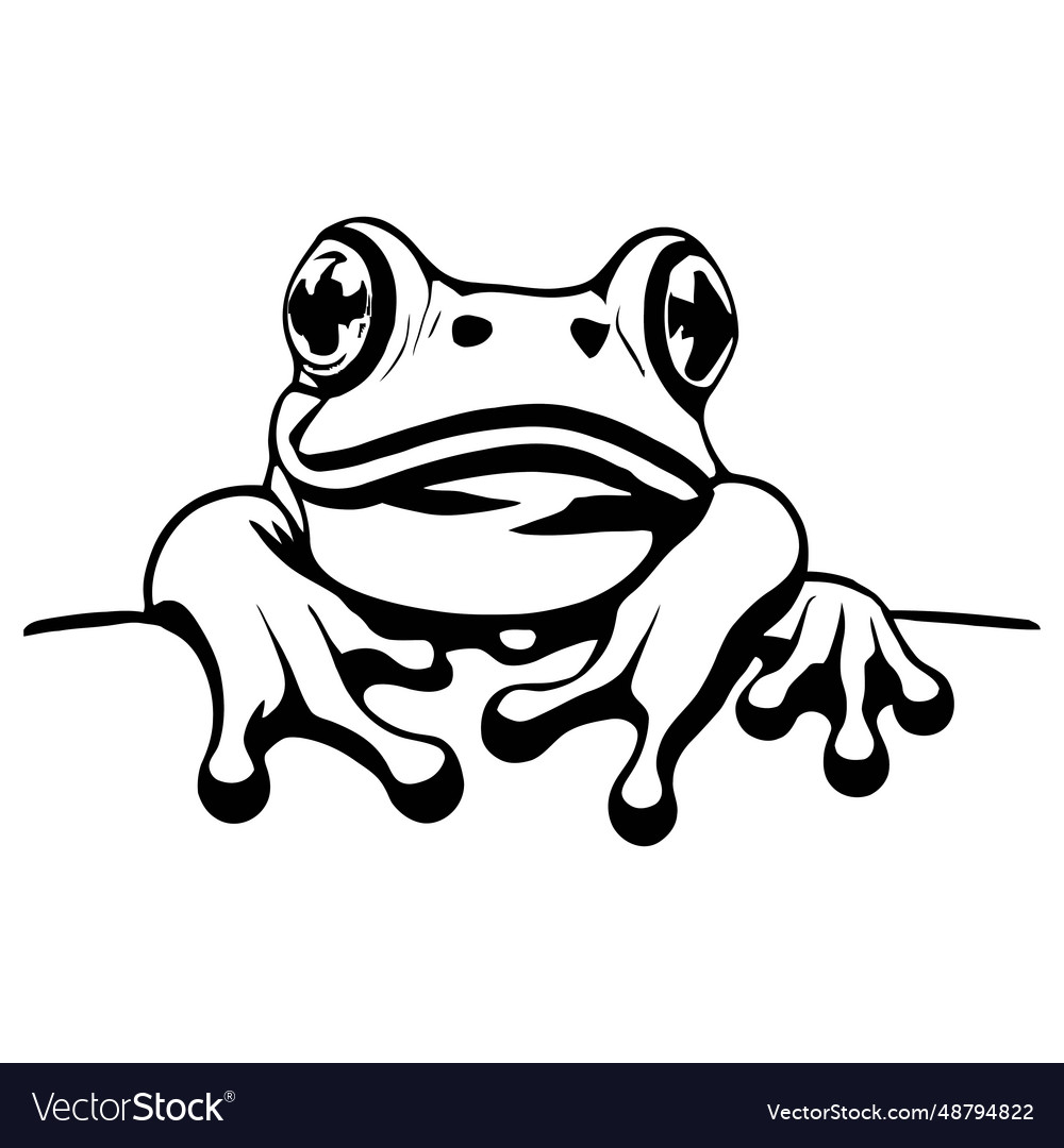Frog artwork Royalty Free Vector Image - VectorStock