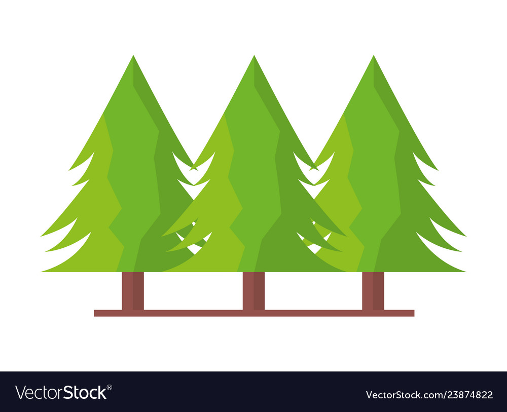 Pine trees forest Royalty Free Vector Image - VectorStock