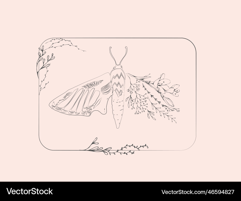 Half shape butterfly with branch and flowers Vector Image