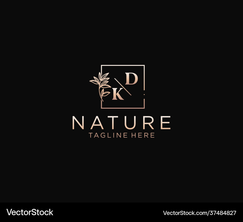 Initial dk letters beautiful floral feminine Vector Image