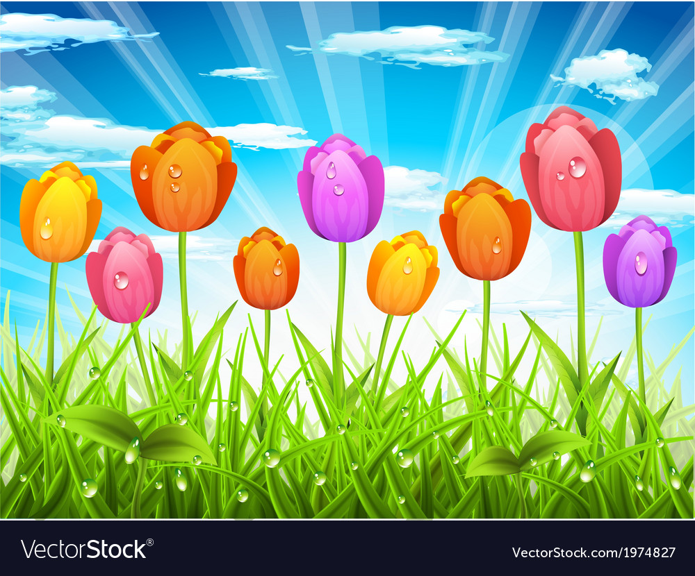 Spring Royalty Free Vector Image - VectorStock