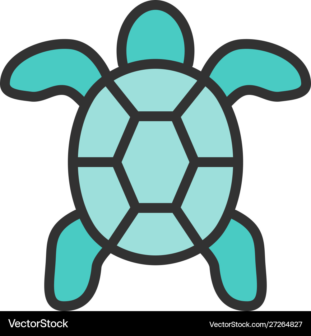Turtle aquatic animal flat color line icon Vector Image