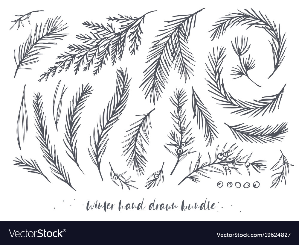 Winter hand drawn elements set Royalty Free Vector Image Winter hand drawn elements set Royalty Free Vector Image