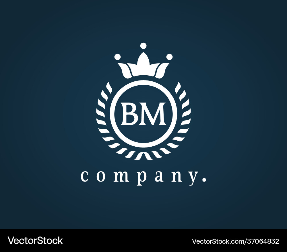 Letter bm b m luxury royal monogram logo design Vector Image