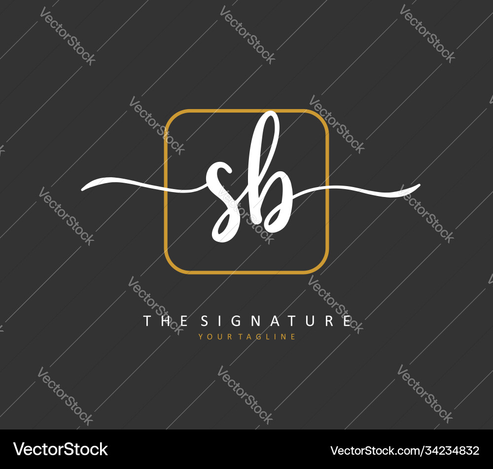 S b sb initial letter handwriting and signature Vector Image
