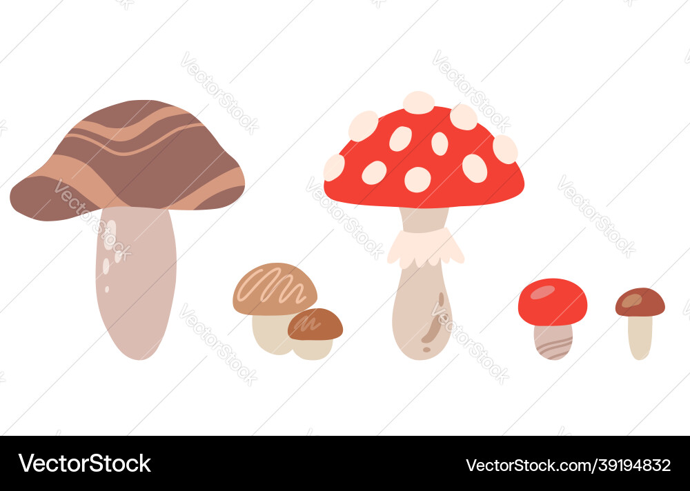 Set of cartoon different mushrooms simple flat Vector Image