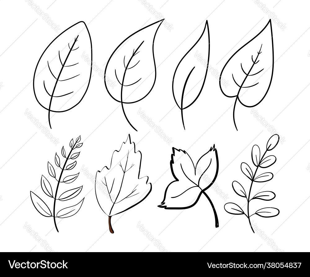 Hand drawn set leaves coloring isolated Royalty Free Vector