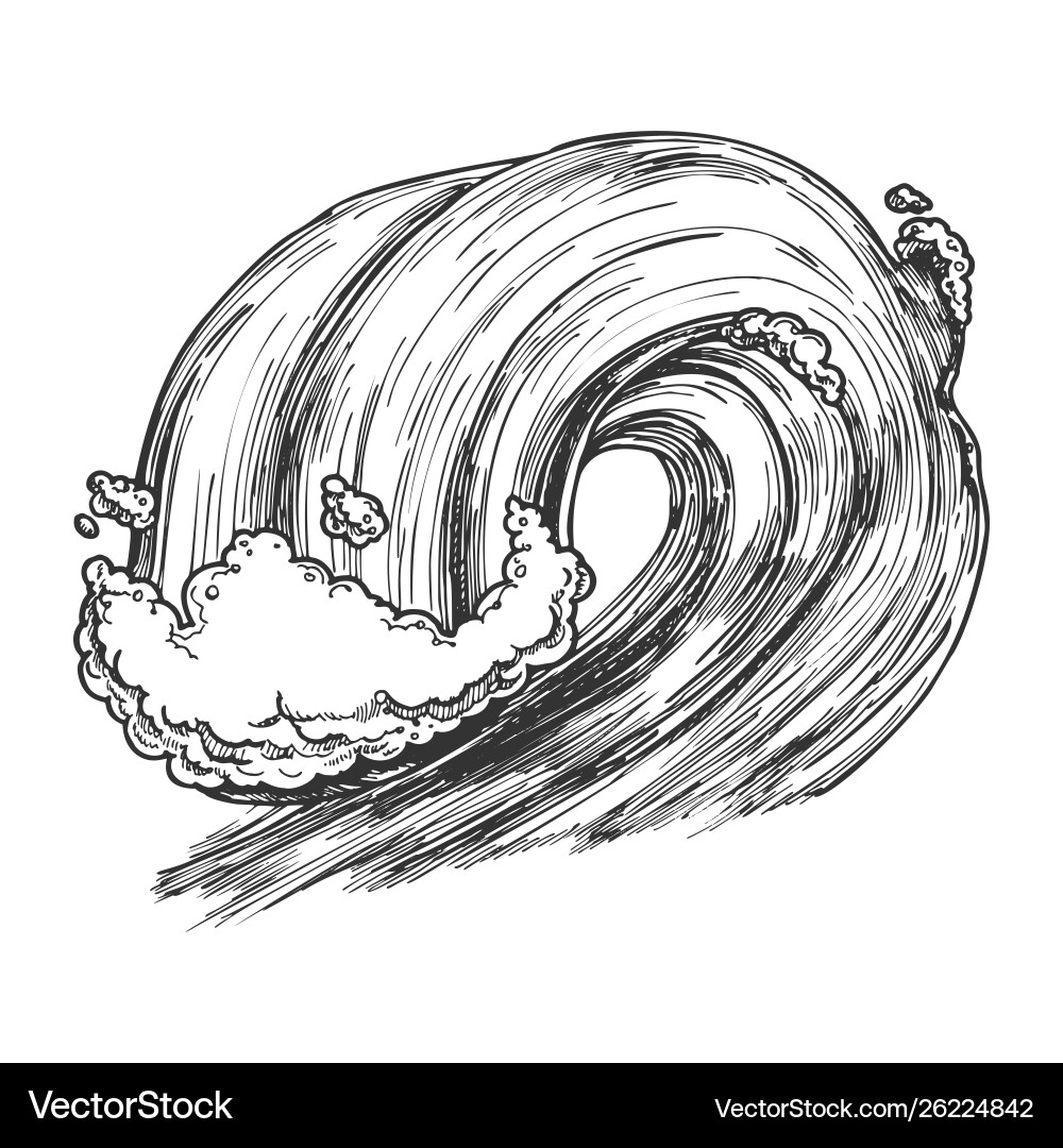 Breaking tropical sea marine wave storm Royalty Free Vector