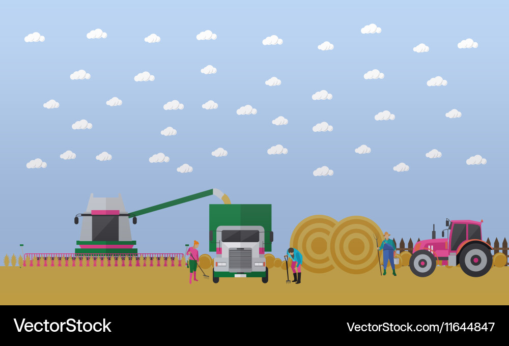 Wheat harvesting combine harvester tractor Vector Image