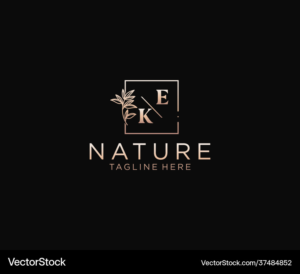 Initial ek letters beautiful floral feminine Vector Image