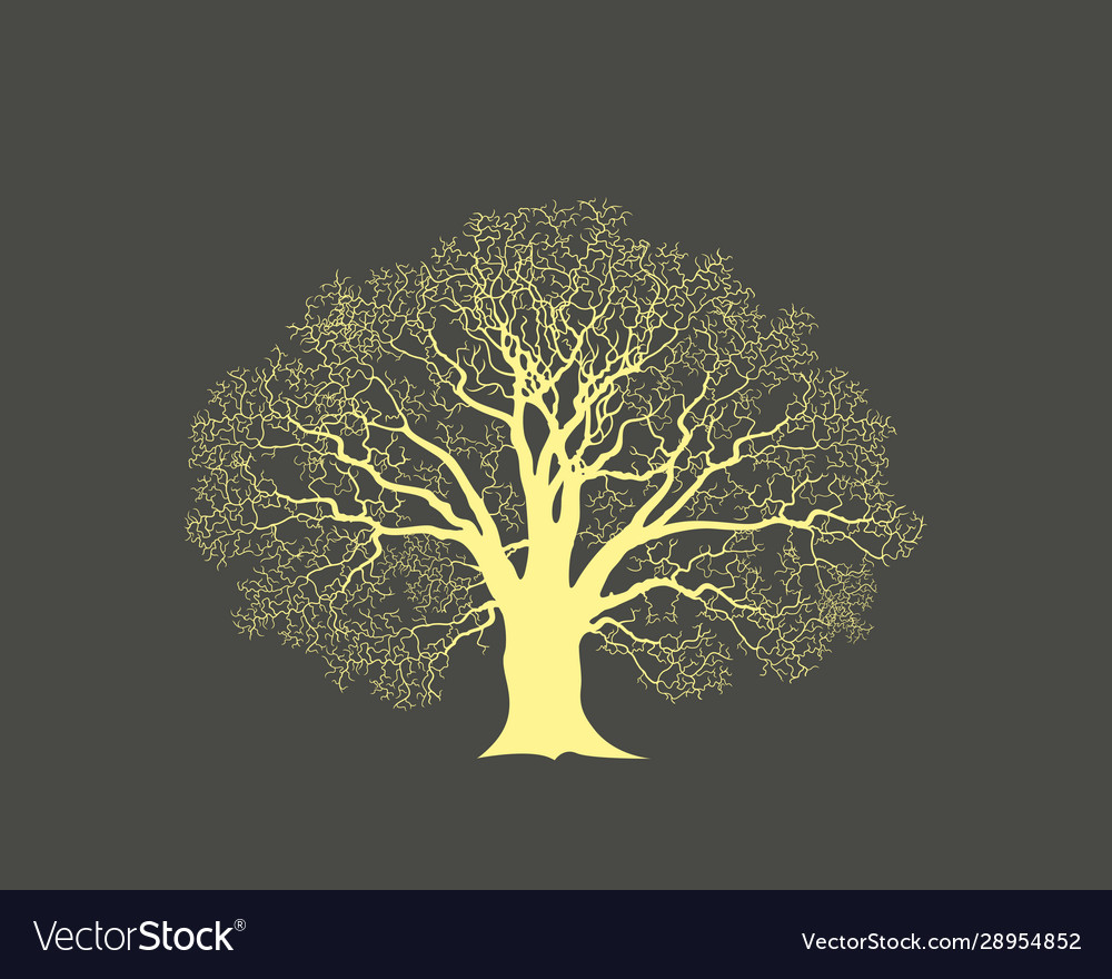 Oak Royalty Free Vector Image - VectorStock