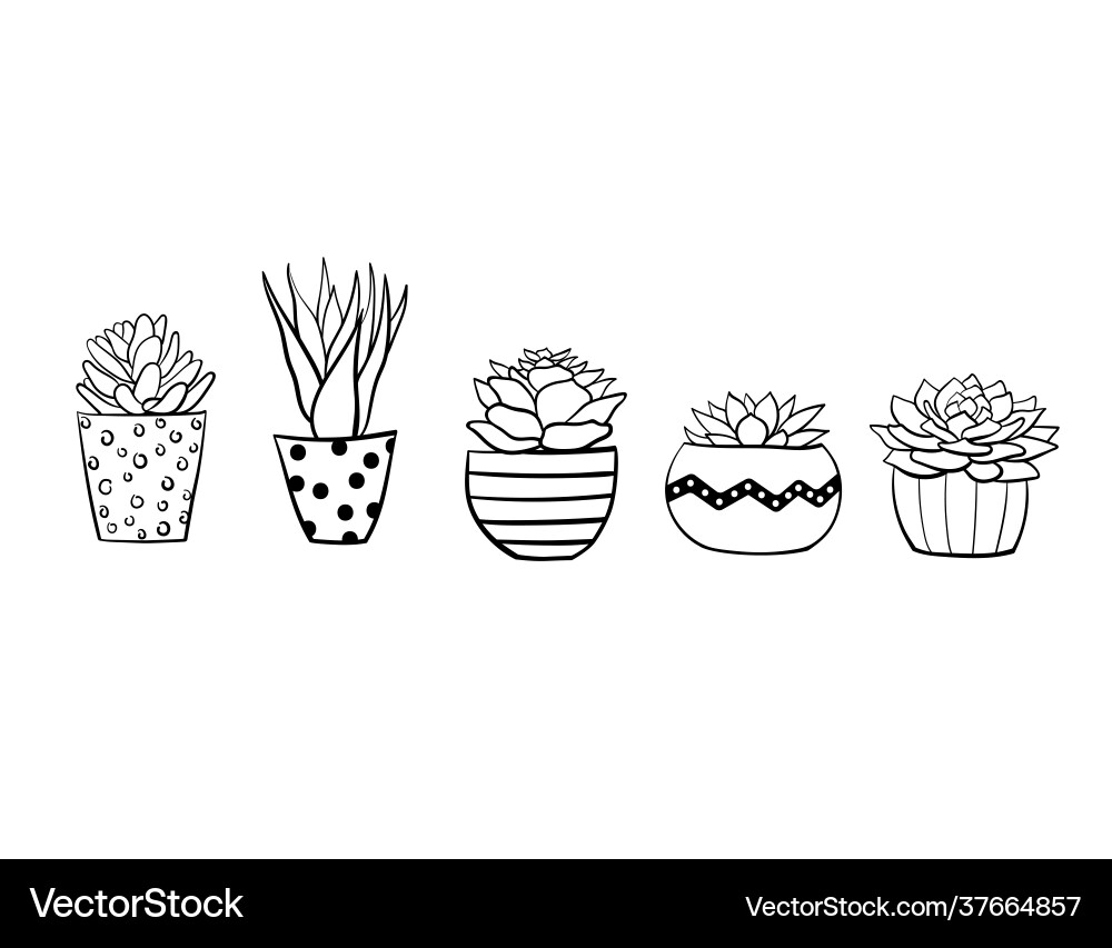 Set succulents home plants in pots Royalty Free Vector Image
