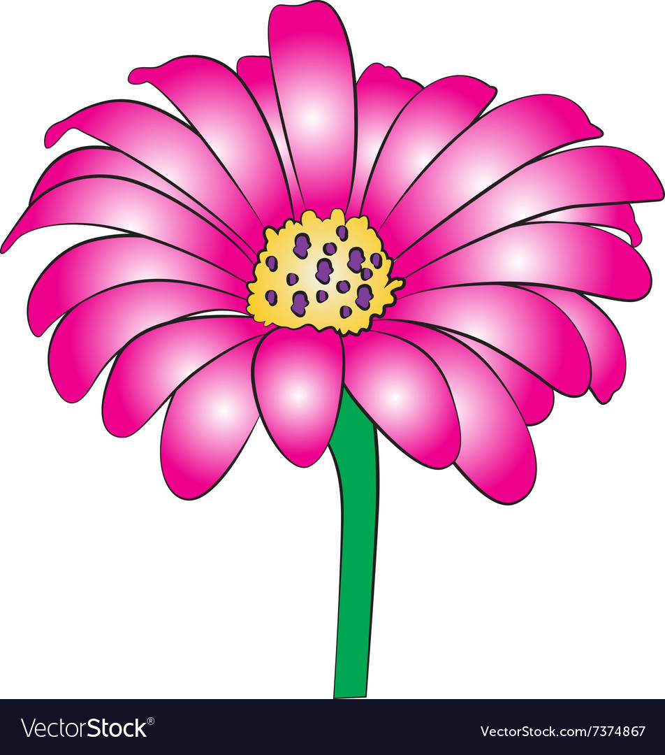 Daisy Royalty Free Vector Image - VectorStock