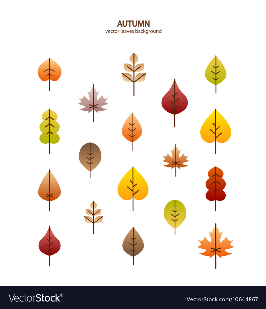 Fall leaves tree background Royalty Free Vector Image