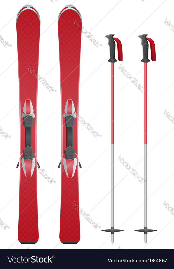 Ski equipment 01 Royalty Free Vector Image - VectorStock