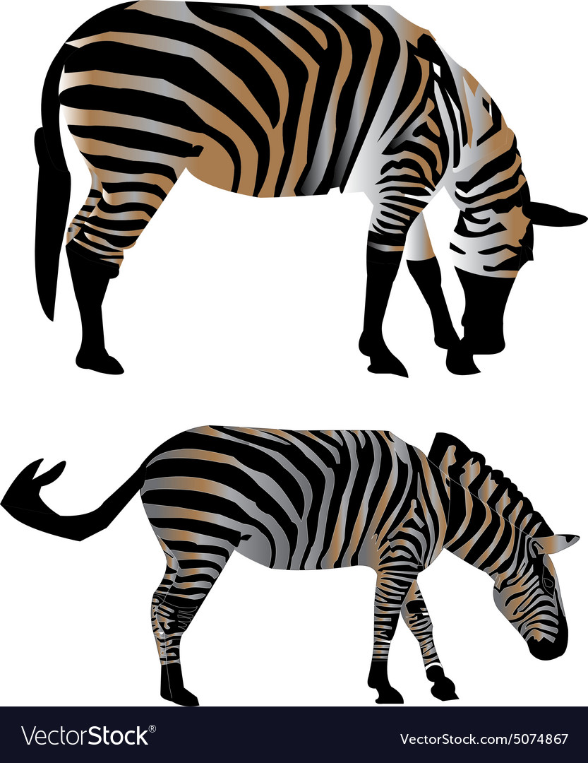 Two zebras Royalty Free Vector Image - VectorStock Two zebras Royalty Free Vector Image - VectorStock
